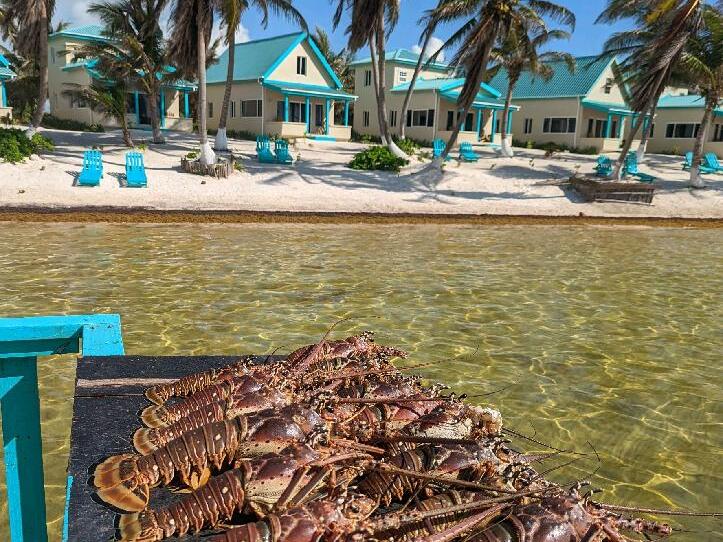 Tranquility Bay Resort